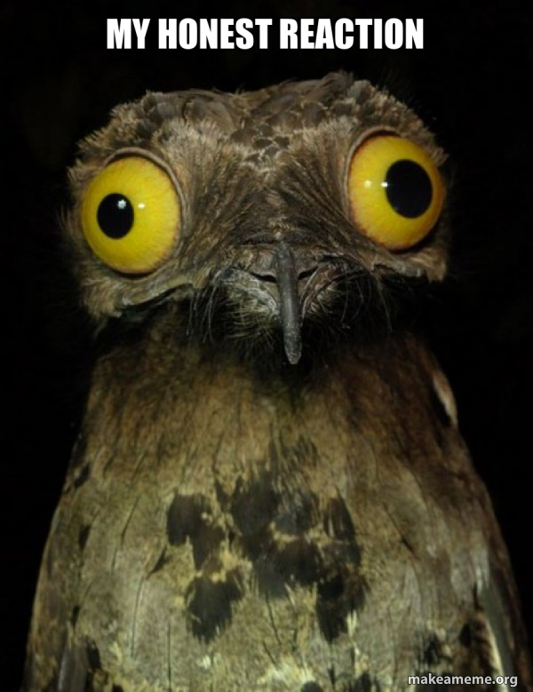 My honest reaction - Weird Stuff I do Potoo Meme Generator