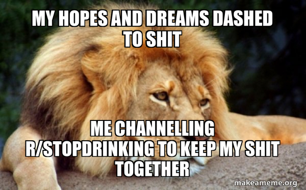 My hopes and dreams dashed to shit Me channelling r/stopdrinking to ...