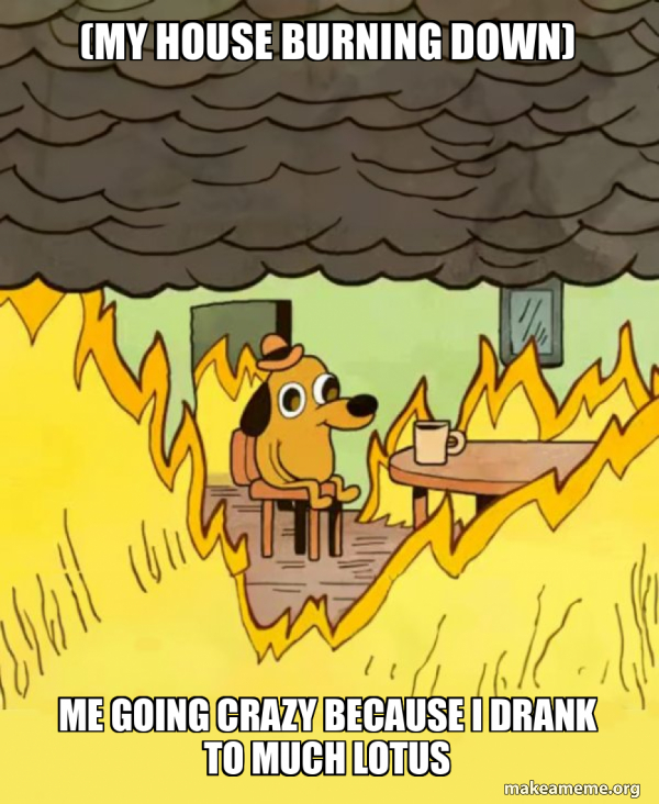 (my house burning down) me going crazy because i drank to much lotus ...