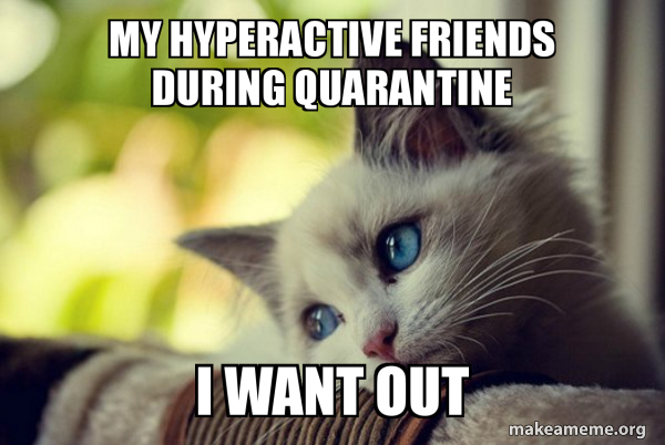 My hyperactive friends during quarantine I want out - First World Cat ...