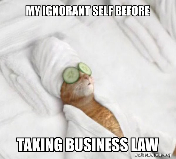 My Ignorant Self Before Taking Business Law - Pampered Cat Meme Meme ...