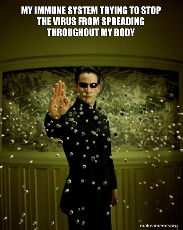 My immune system trying to stop the virus from spreading throughout my ...