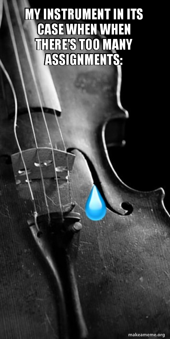 My instrument In its case when when there's too many assignments: Meme ...