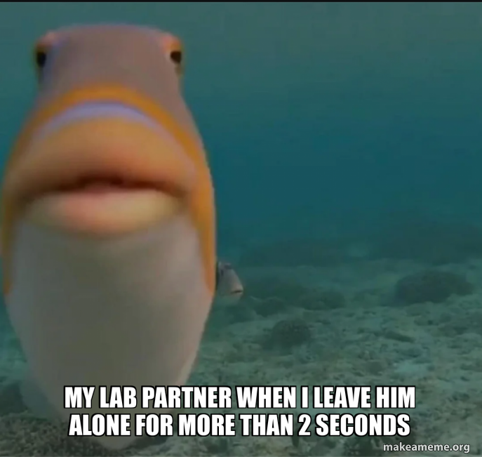 My lab partner when I leave him alone for more than 2 seconds Meme ...
