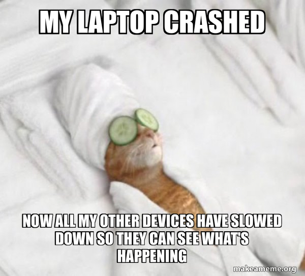 My laptop crashed now all my other devices have slowed down so they can ...
