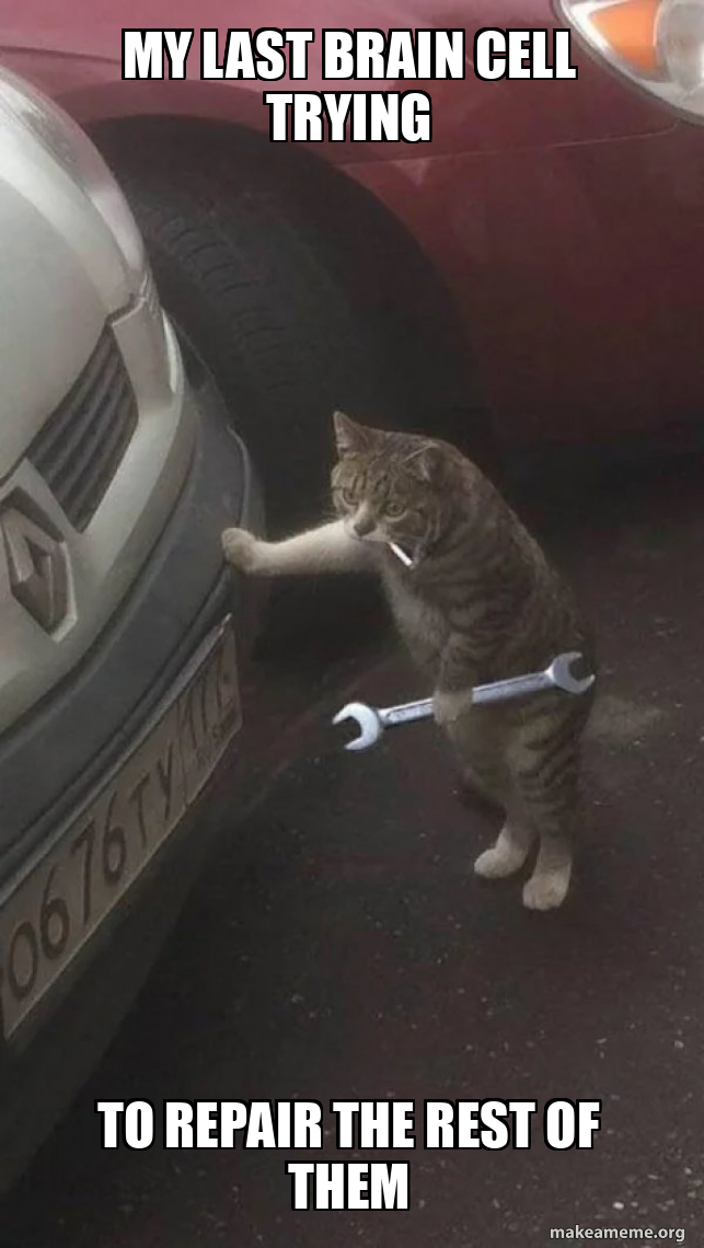 my last brain cell trying to repair the rest of them - Mechanic Cat ...