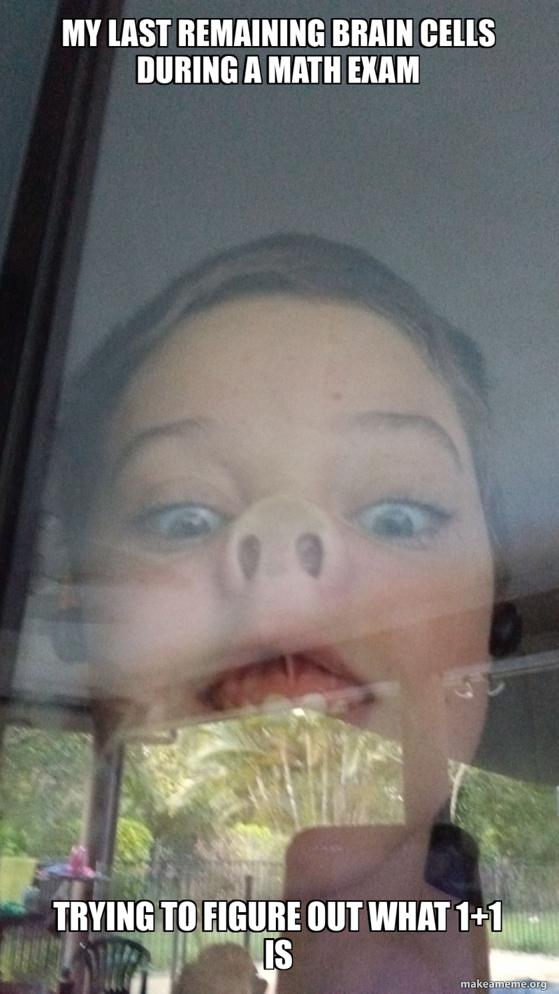 My last remaining brain cells During a math exam Trying to figure out ...