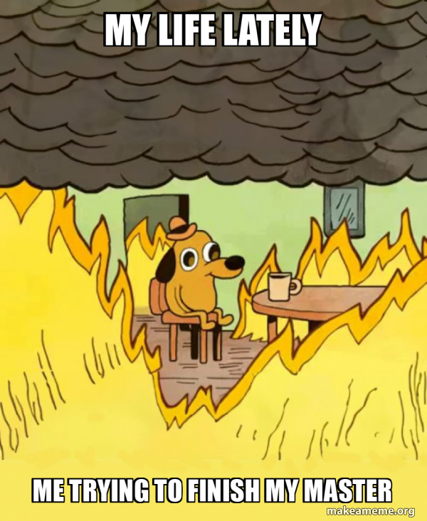 My life lately Me trying to finish my master - This Is Fine Meme Generator