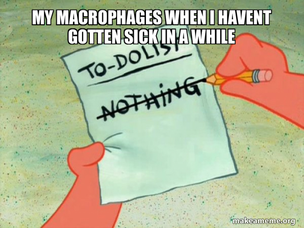 My macrophages when I havent gotten sick in a while - TO-DO List Meme Generator