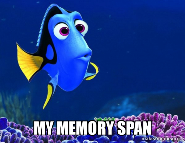 My Memory Span - Dory from Nemo (5 second memory) Meme Generator