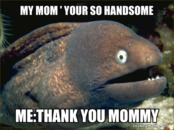 my mom ' your so handsome me:thank you mommy - Bad Joke Eel Meme Generator