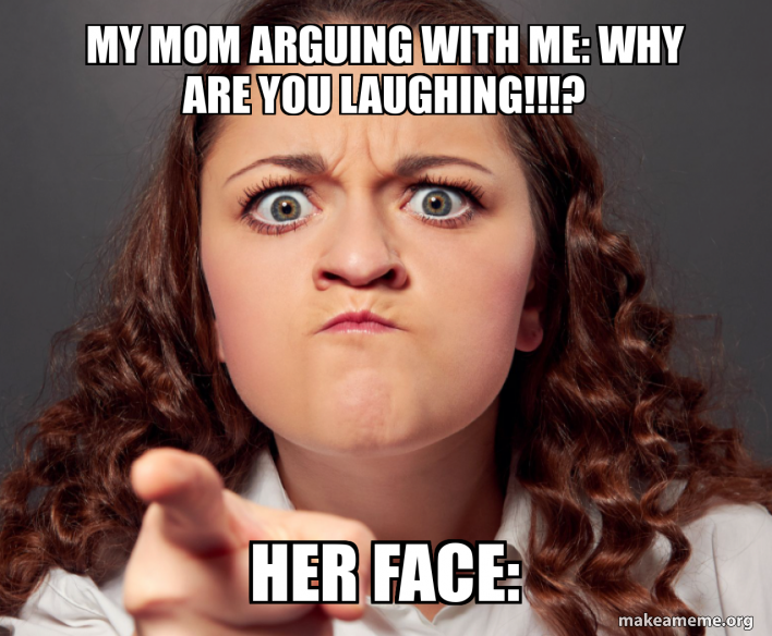 MY MOM ARGUING WITH ME: wHY ARE YOU LAUGHING!!!? hER FACE: Meme Generator