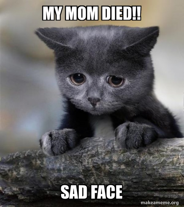 my mom died!! sad face - Confession Cat Meme Generator