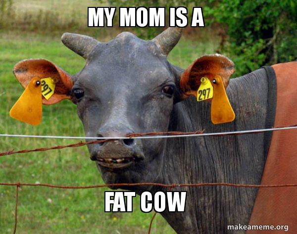 my mom is a fat cow - Hairless Cow Meme Generator