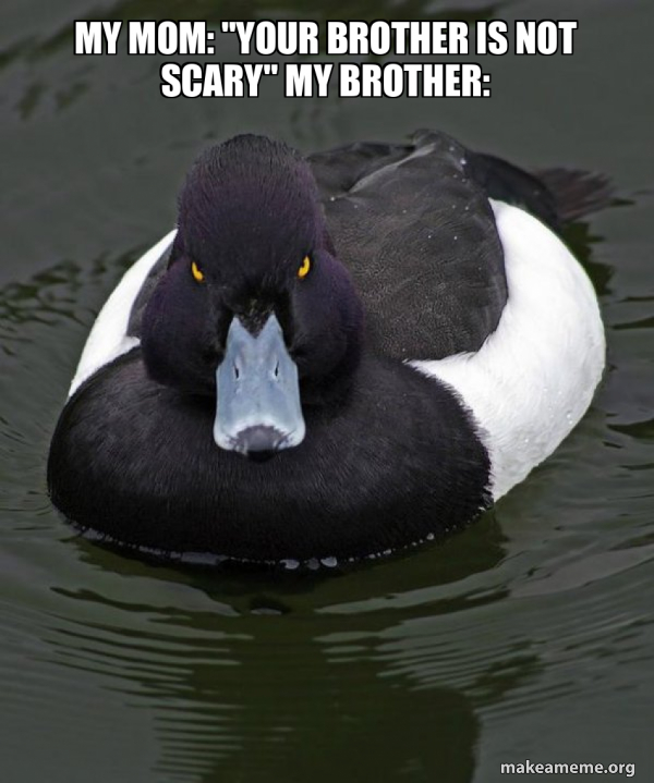 MY MOM: "your brother is not scary" MY BROTHER: - Revenge Duck ( Angry ...