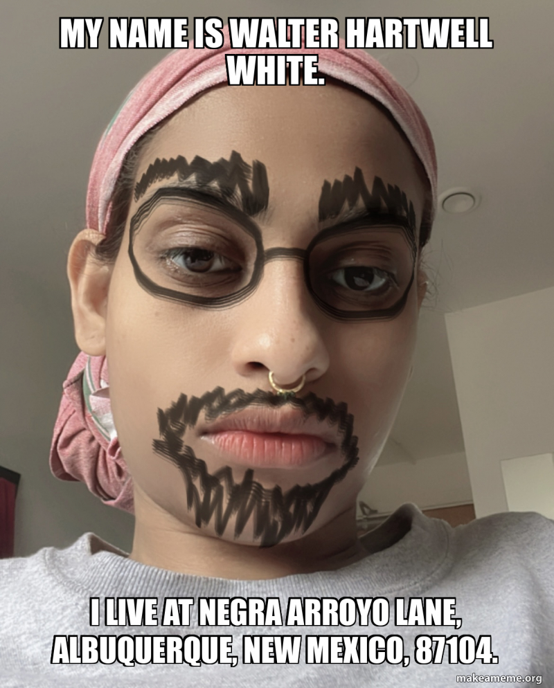 MY NAME IS WALTER HARTWELL WHITE. I LIVE AT NEGRA ARROYO LANE ...