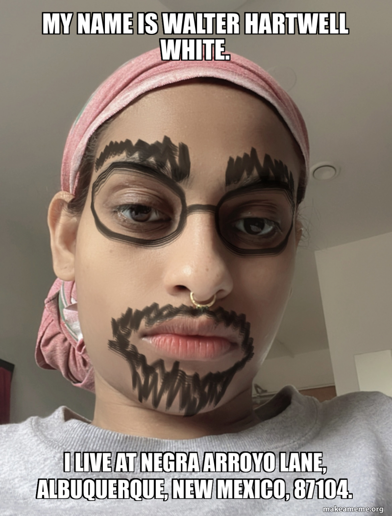 MY NAME IS WALTER HARTWELL WHITE. I LIVE AT NEGRA ARROYO LANE ...