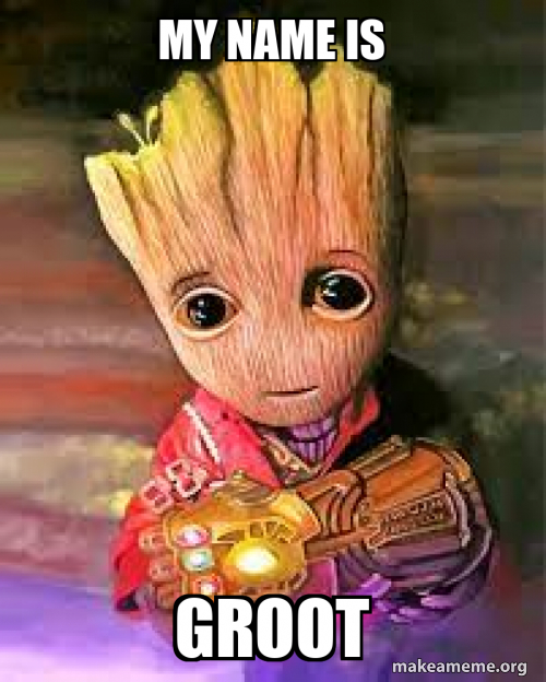 my name is Groot Meme Generator