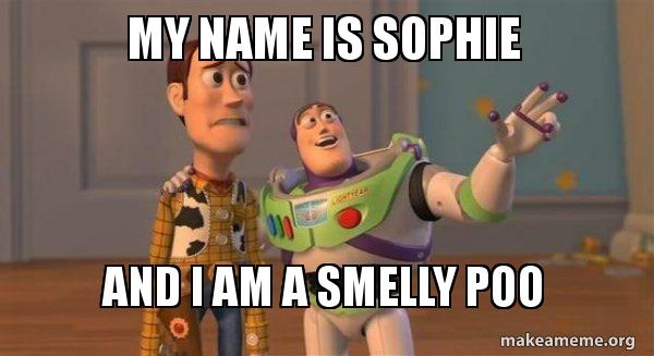 My name is Sophie And I am a smelly poo - Buzz and Woody (Toy Story ...