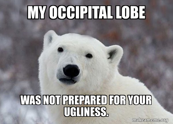 my occipital lobe was not prepared for your ugliness. - Popular Opinion ...
