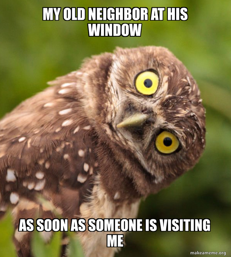 My old neighbor at his window as soon as someone is visiting me Meme ...