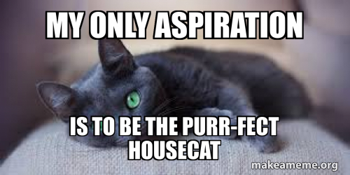 My only aspiration Is to be the purr-fect housecat Meme Generator