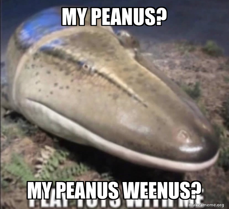 My Peanus? My PEANUs weenus? Meme Generator