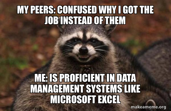 Confused Squirrel Memes More Confusion : R/programmingmemes