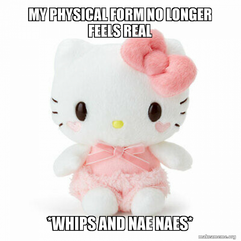 MY PHYSICAL FORM NO LONGER FEELS REAL *whips and nae naes* Meme Generator