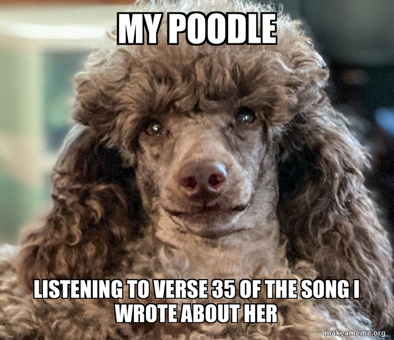 My poodle Listening to verse 35 of the song I wrote about her Meme ...