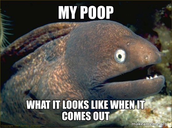 My poop What it looks like when it comes out - Bad Joke Eel Meme Generator