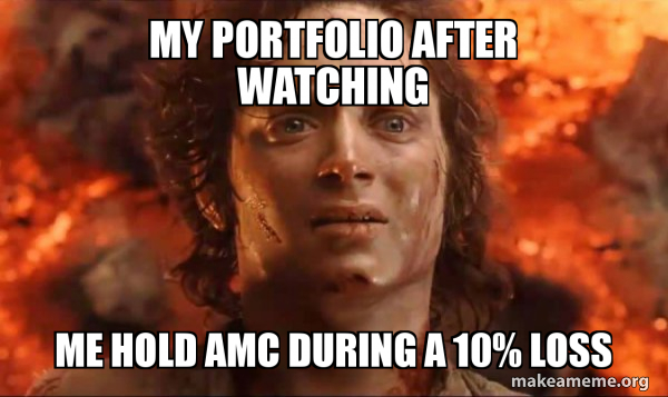 My portfolio after watching Me hold AMC during a 10% loss - Frodo it's ...