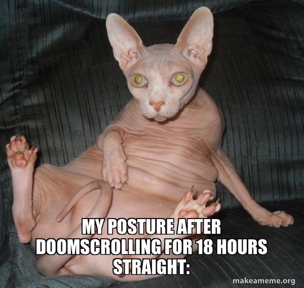 my posture after doomscrolling for 18 hours straight: - Hairless Cat ...