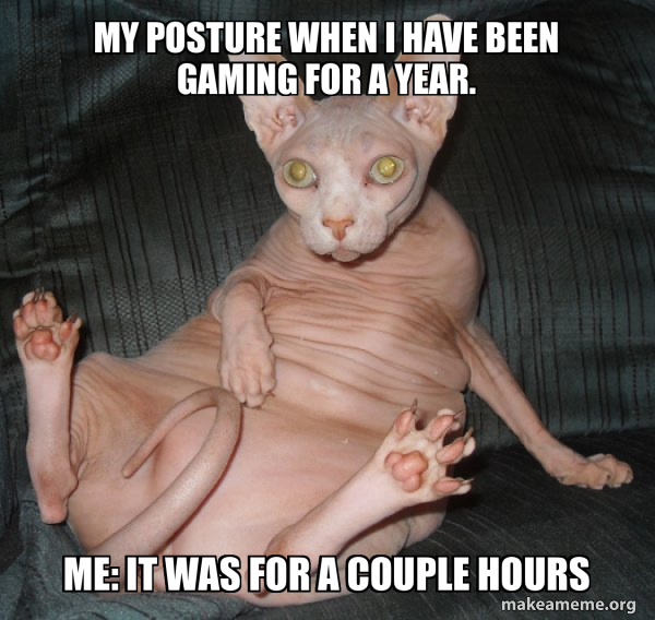 My posture when I have been gaming for a year. me: It was for a couple ...