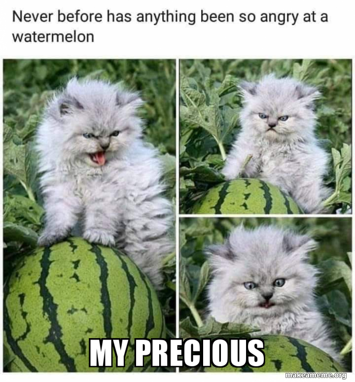 my PRECIOUS Meme Generator