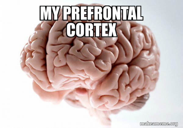 My prefrontal cortex - Scumbag Brain Meme Generator
