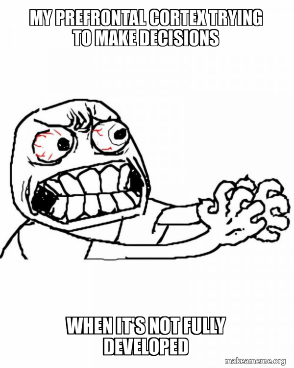 my prefrontal cortex trying to make decisions when it's not fully ...