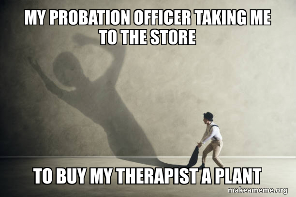 my probation officer taking me to the store to buy my therapist a plant ...