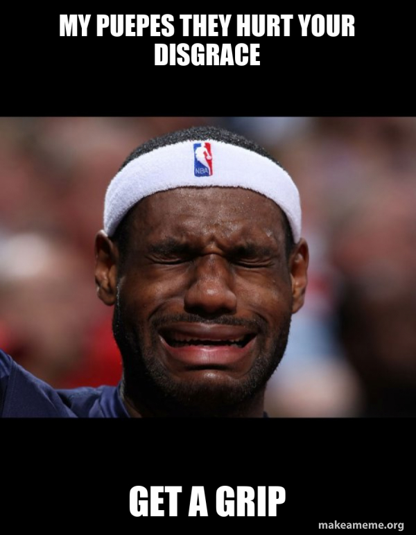 My puepes they hurt your disgrace Get a grip - Lebron Crying Meme Generator