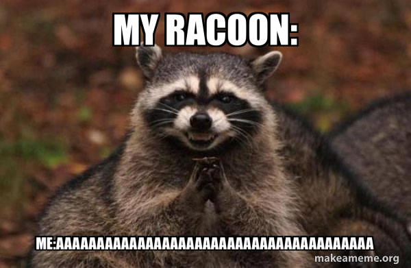 My Racoon: Me:AAAAAAAAAAAAAAAAAAAAAAAAAAAAAAAAAAAAAAA - Evil Plotting ...