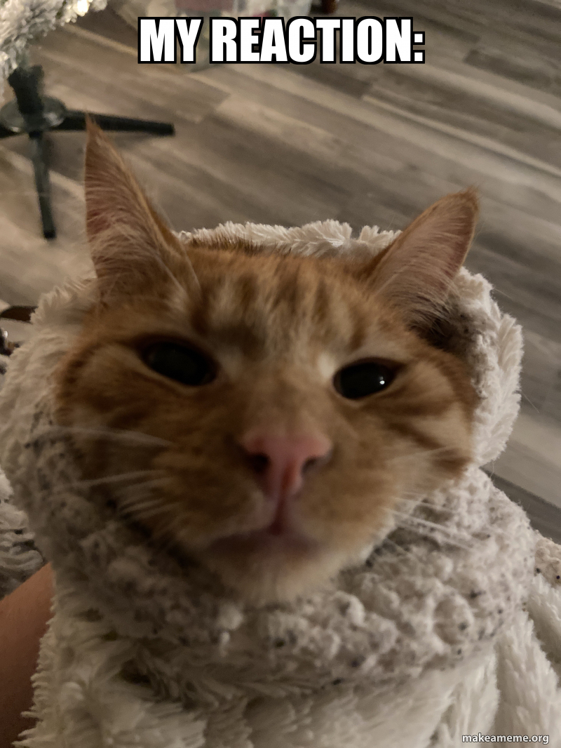 My reaction: Meme Generator