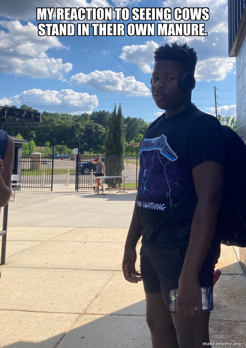 MY reaction to seeing cows stand in their own manure. Meme Generator