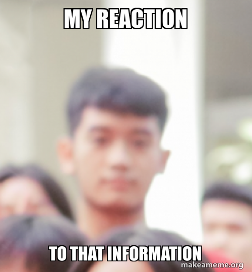 my reaction to that information Meme Generator