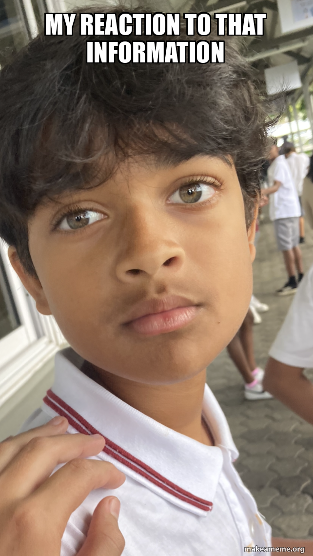 My reaction to that information Meme Generator