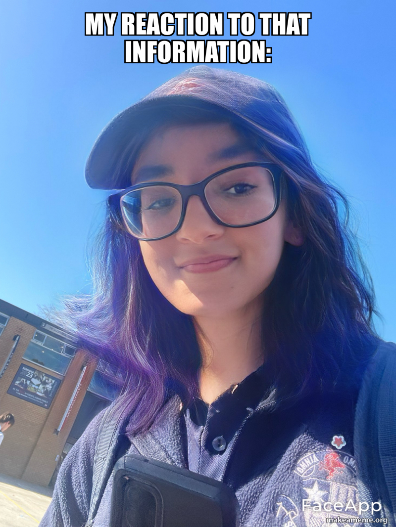 MY REACTION TO THAT INFORMATION: Meme Generator