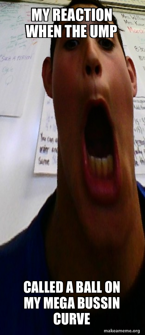 my reaction when the ump called a ball on my mega bussin curve Meme ...