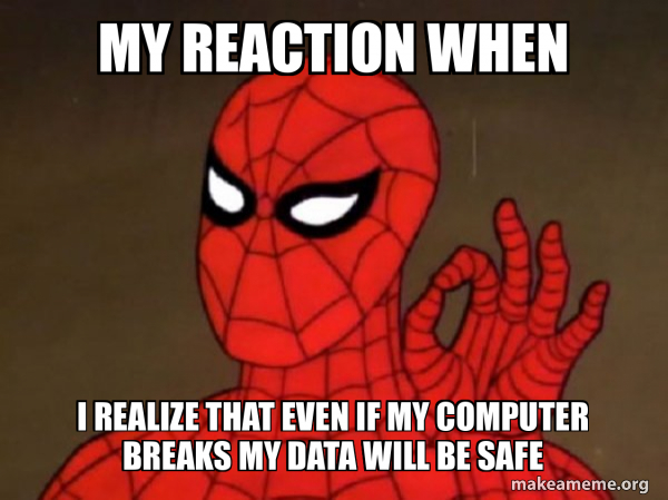 My reaction when I realize that even if my computer breaks my data will ...
