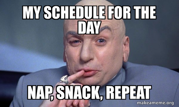 My schedule for the day Nap, snack, repeat - You Complete Me Meme Generator