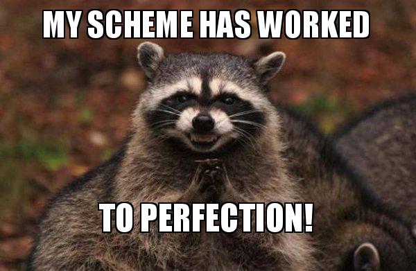 my scheme has worked to perfection! - Evil Plotting Raccoon Meme Generator