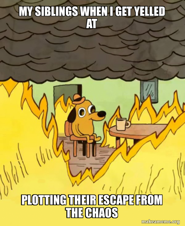 My siblings when I get yelled at Plotting their escape from the chaos ...